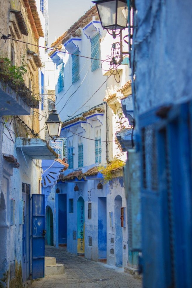 Chefchaouen, Morocco 。舍夫沙万，是摩洛哥最美丽的城鎮，整座依山而建，有着西班牙风格的红瓦屋顶和漆上淡蓝色的墙面 ...