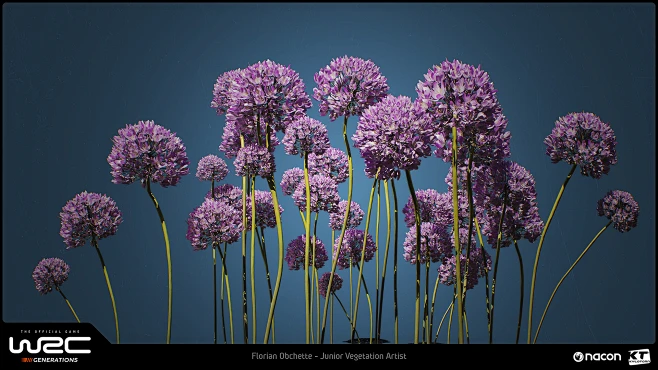 WRC Generation - Flower-花瓣网