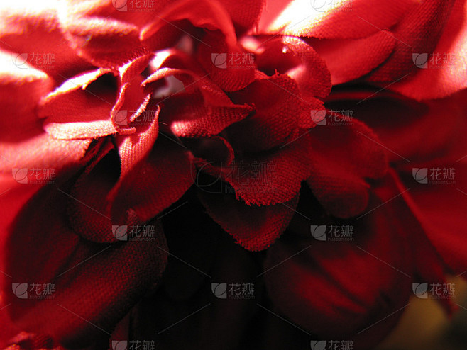 P.Spring红色专辑