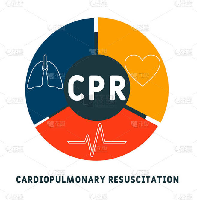 CPR -心肺复苏术。首字母缩写，医学概念背景。矢量插图概念与关键字和图标。带有图标的网页横幅、传单-花瓣网