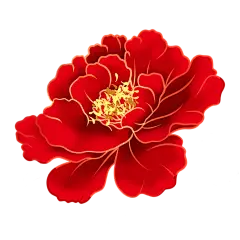 寿字图片大全寿纹素材-花瓣网