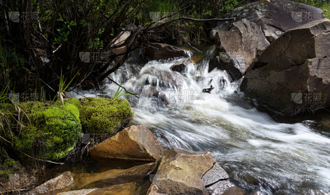 石头中的Fast brook