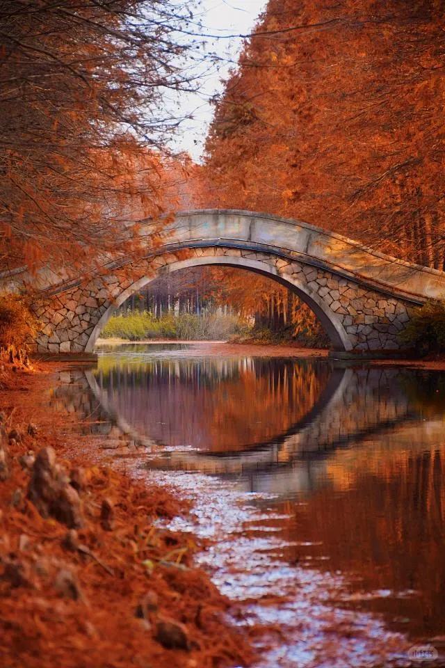 虎丘湿地公园 - 小红书搜索-花瓣网