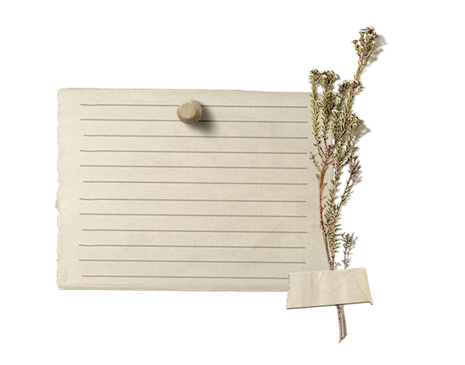 花瓣灵感详情页-花瓣网