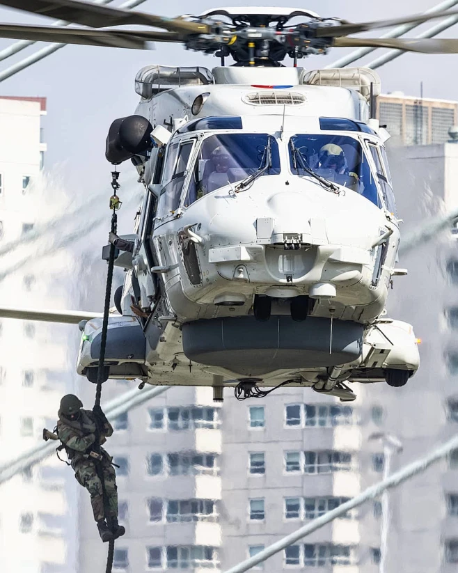 NH - 90-花瓣网