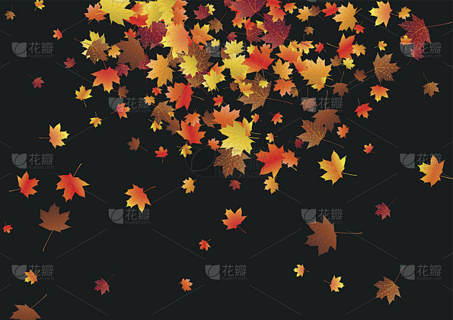 抽象背景与飞翔的枫叶。