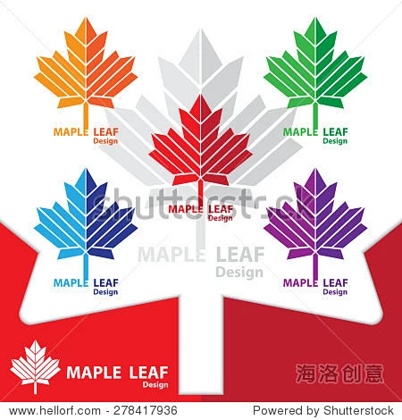Maple leaf logo template design elements. vector illustration-花瓣网