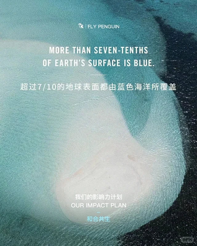 保护海洋活动 - 小红书搜索-花瓣网