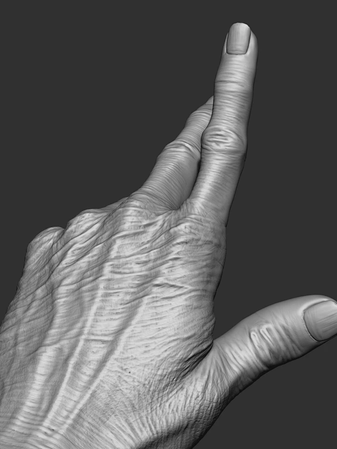 Hand Study : Sculpt-花瓣网