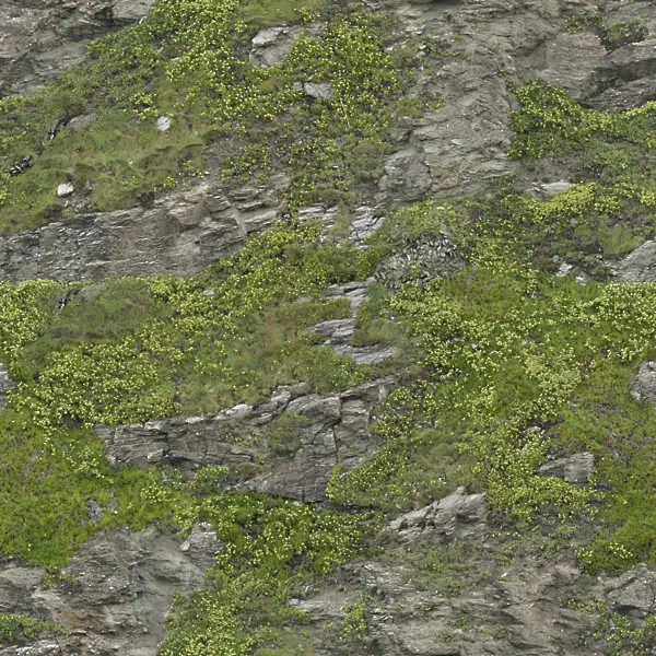 Textures.com - RockGrassy0142 : Textures for 3D, Graphic Design and ...