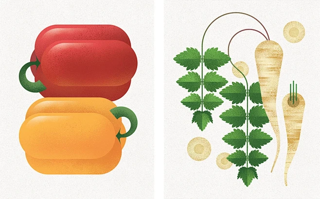 ILLUSTRATION vegetables botany Food cookbook recipe cooking restaurant ...