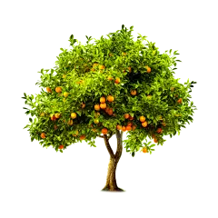 Orange Thin Tree AI Generative png-花瓣网