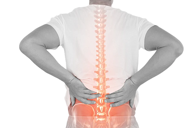 VCG211128221061-removebg-preview-花瓣网