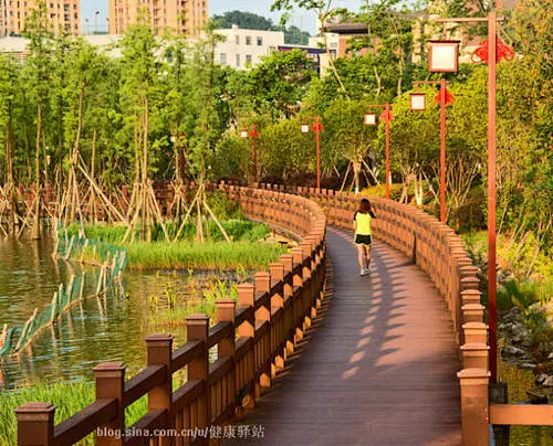 亲水木栈道的搜索结果_百度图片搜索-花瓣网