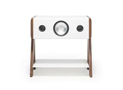 cat-1695.jpg (410×300)-花瓣网