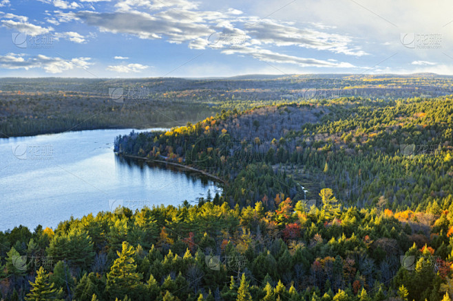 湖,秋天,视角,森林,顶部,北方针叶林,阿岗昆省立公园,安大略省,加拿大,树梢
