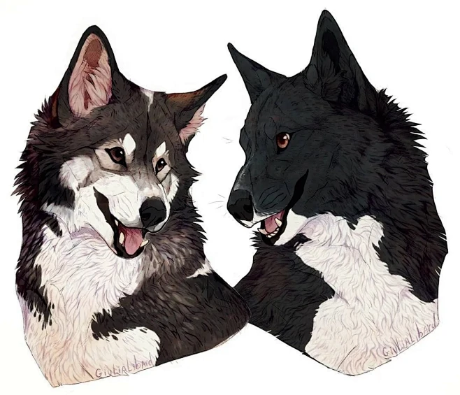 Giulialibard 作品的主题大多是猫狗狮虎等等动物，灵动飘逸的体态，还有对毛发的独特画法，给人软绵蓬松的感觉。-花瓣网