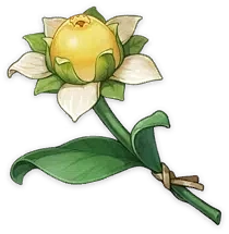 Sweet Flower