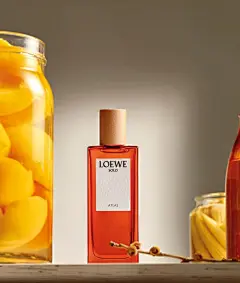 品牌-LOEWE图片大全-品牌-LOEWE高清好看的图片--花瓣土豆菠萝红番茄的画板