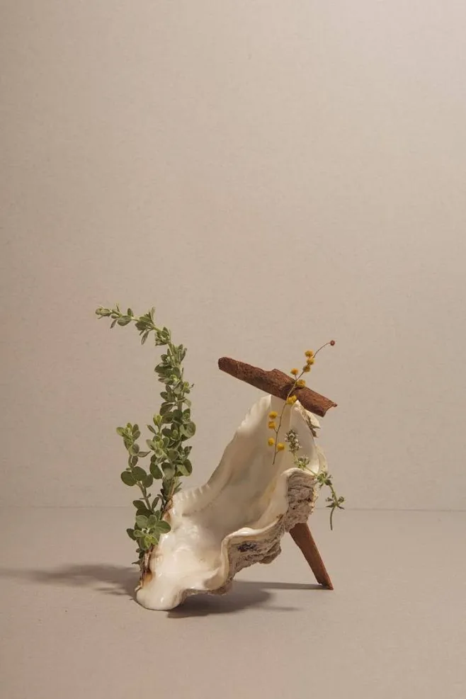 (42) Pinterest-花瓣网