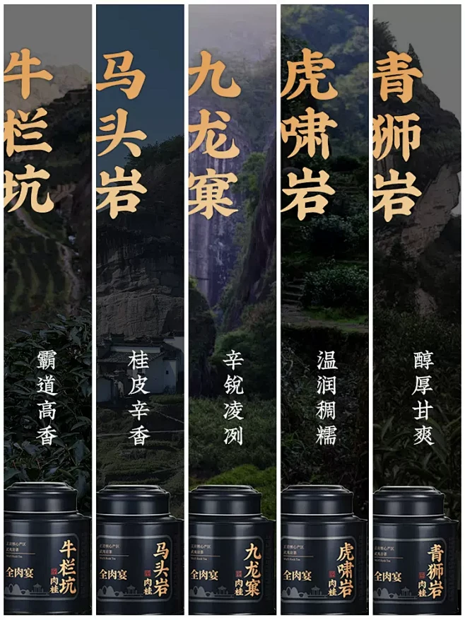 【正岩全肉宴】大红袍茶叶特级正宗马头岩肉桂武夷岩茶牛栏坑500g-tmall.com天猫-花瓣网