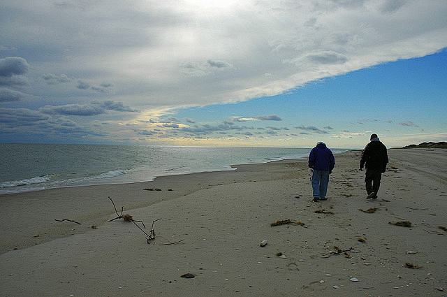 autumn beach