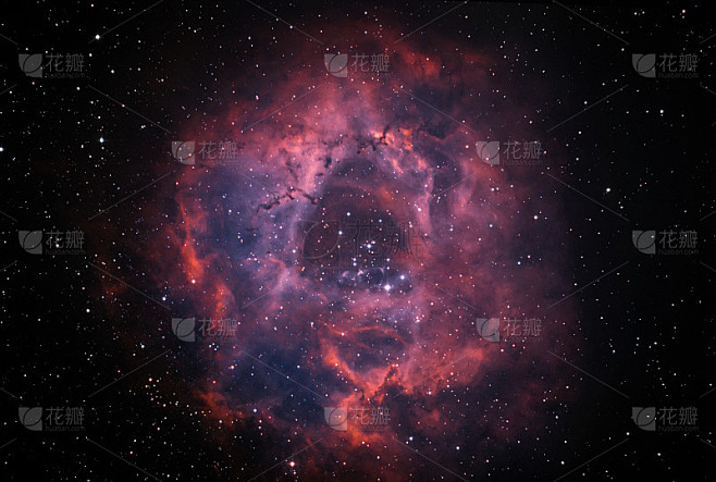 C49或NGC2244玫瑰星云