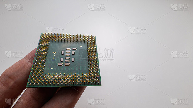 把cpu朝上拿着看它的联系人，选择焦点。检查清洁和可用性