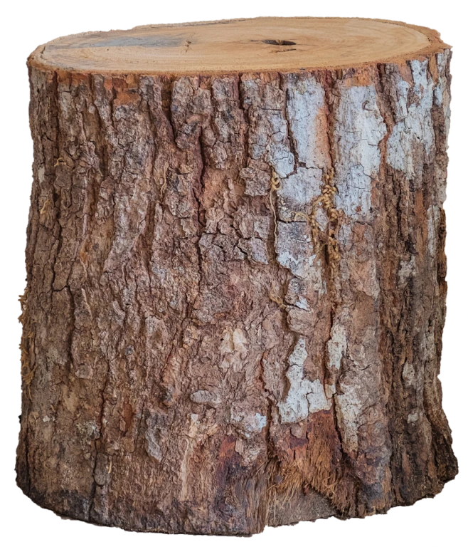 isolated-wooden-log-tree-trunk-transparent-background-free-png-花瓣网