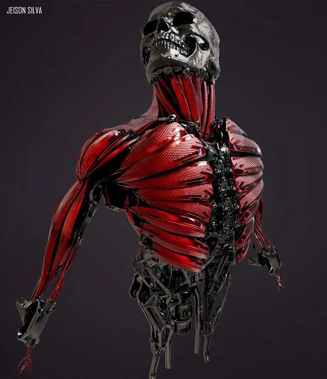 Skull Muscles.-花瓣网