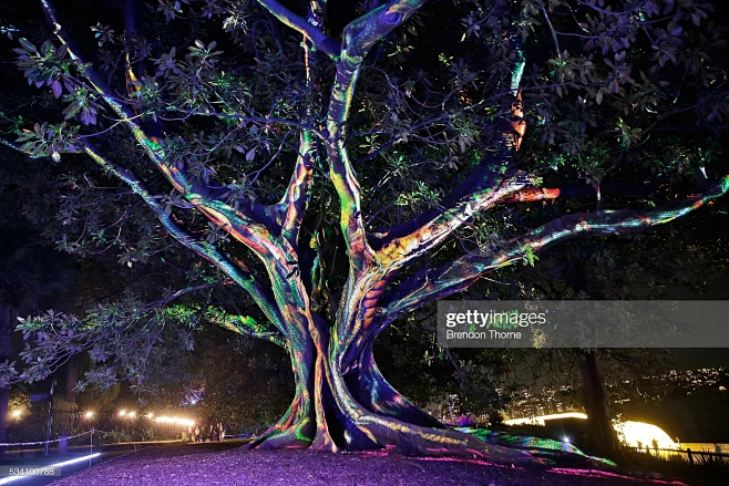 gettyimages-534100788-2048x2048-花瓣网