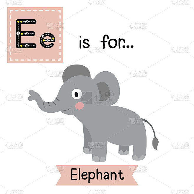 字母E跟踪。大象用两条腿站立。
