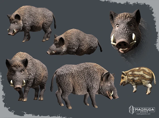 Wild Animals for Dawn of Man, Tucho Fernández Calo : Wild animal models ...