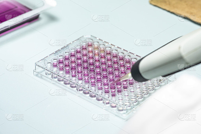 DPPH由紫色变为黄色的抗氧化活性实验