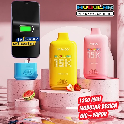 Modular 15K Vape + Power Bank Disposable-花瓣网