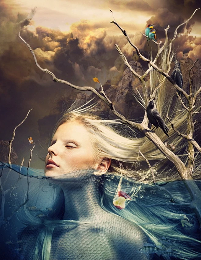 点击查看源网页-花瓣网