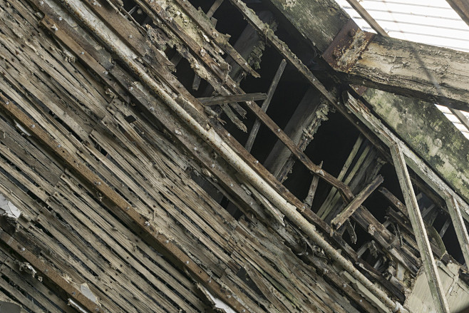 Overgrown Factory (378)