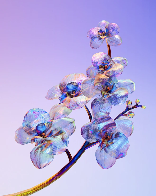 3D c4d cryptoart digitalart flower iridescent nft nft art vogue art-花瓣网