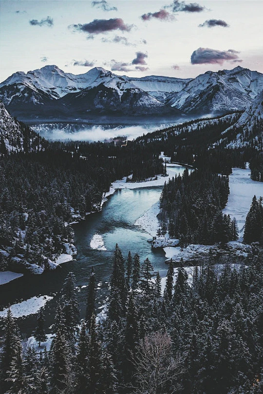 (58) Tumblr-花瓣网