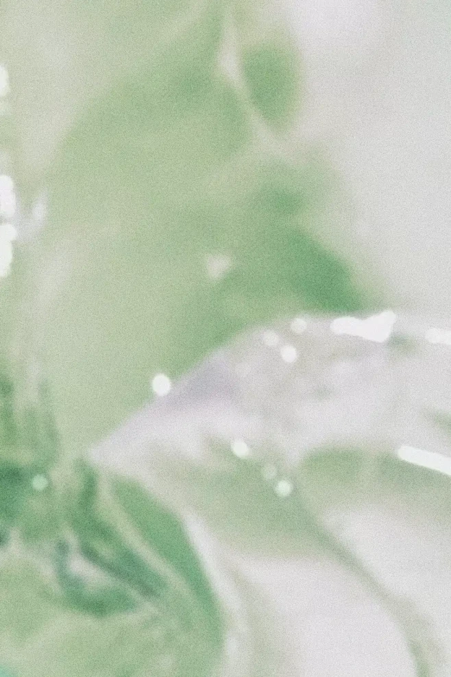 download_20211026105657-花瓣网