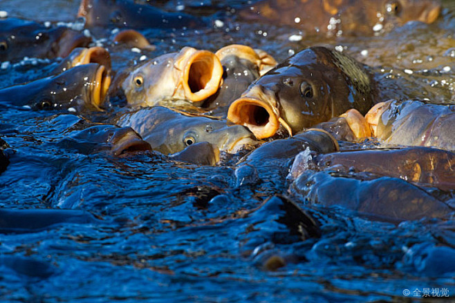 5e05c094f4a@炎帝 萧炎