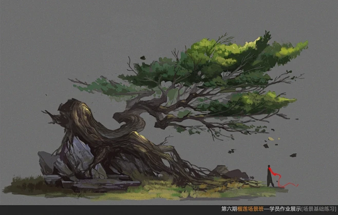 植物原画树原画来自cgbook.cn (1728)-花瓣网