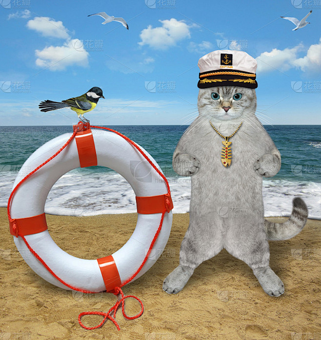 猫灰色船长站在救生圈附近