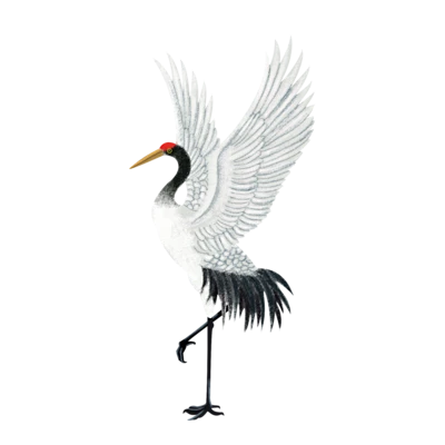 【米图网-52mitu.com】仙鹤 中式 元素 水墨 丹顶鹤仙鹤-花瓣网