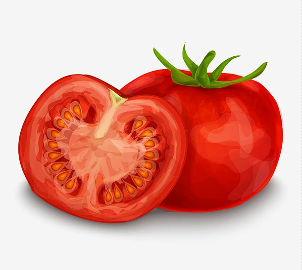 西红柿矢量图免抠素材_新图网 https://ixintu.com 3D 彩绘 手绘 逼真 矢量图-花瓣网