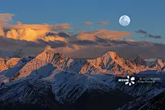 春天杏花，shinjang，中国 Spring Apricot Blossoms, Shinjang, China-花瓣网