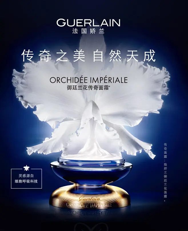 Guerlain娇兰官方旗舰店图片_美妆活动 KV图片素材-花瓣网