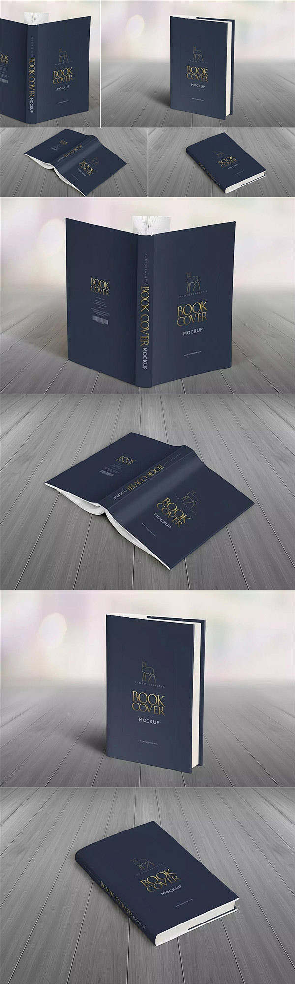 精装书籍装帧样机