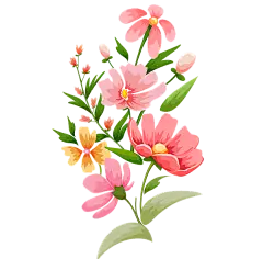 canva-%E5%A6%87%E5%A5%B3%E8%8A%82%E5%A5%B3%E6%80%A7%E6%9D%90%E8%B4%A8 ...