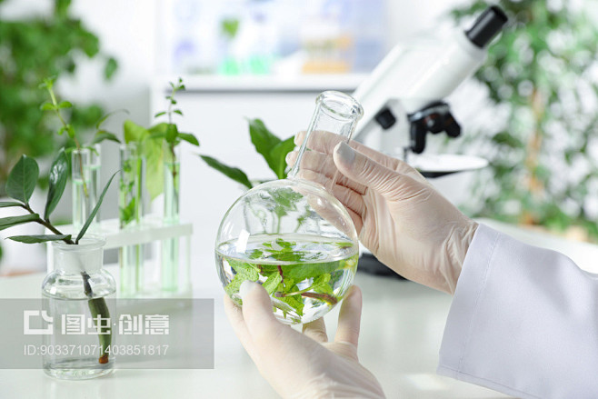 植物提取 - 搜索结果 - 图虫创意-全球领先正版素材库-Adobe Stock中国独家合作伙伴